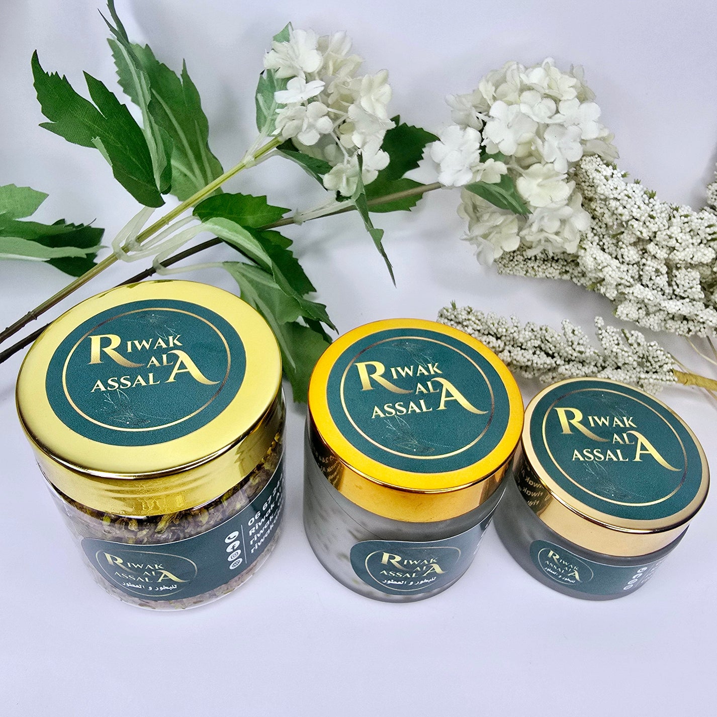 Sarghina Royale- Al Assala – Riwak Al Assala